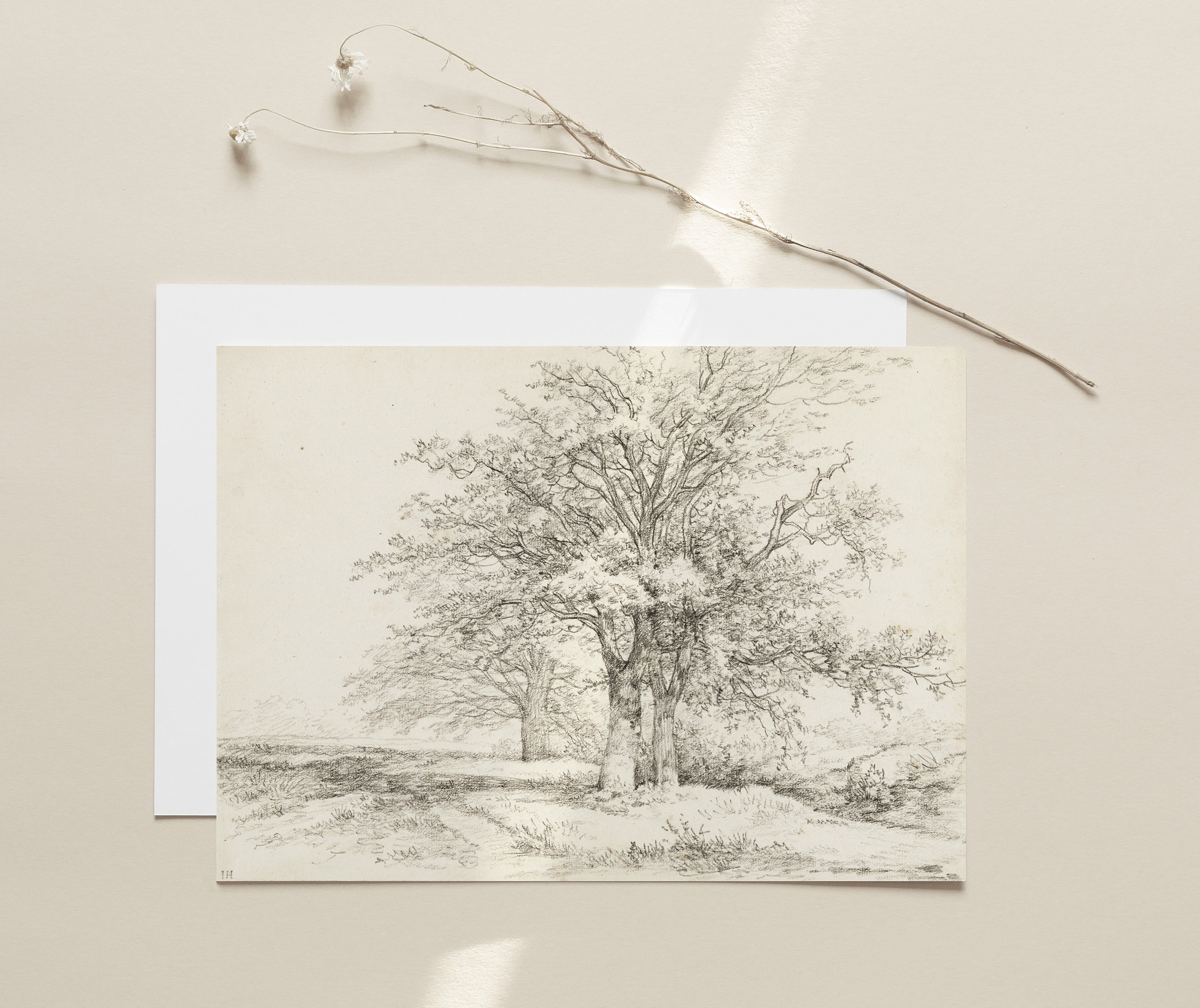 Vintage Tree Drawing Printable Antique Landscape Sketch - Etsy