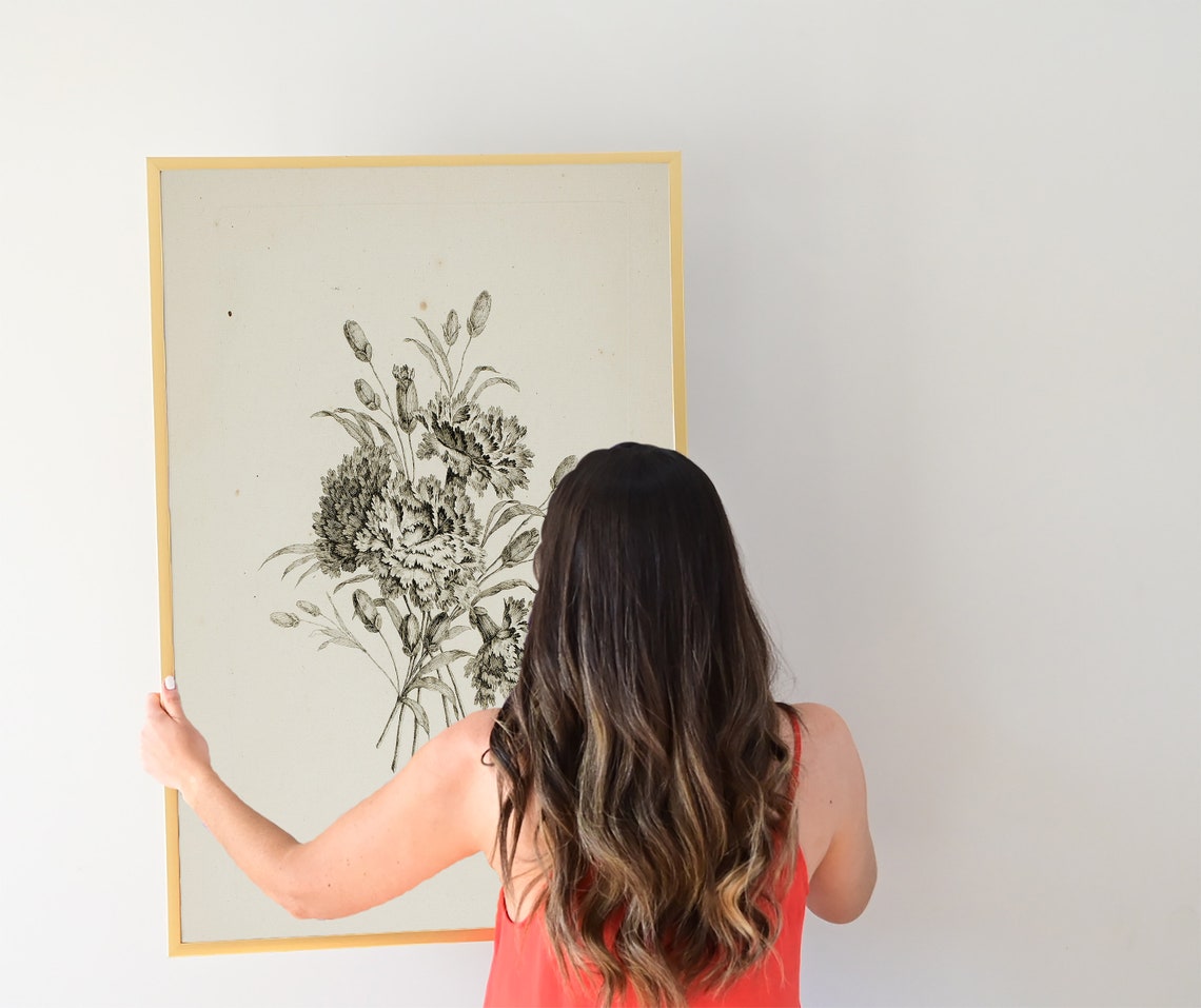 Vintage Carnation Print Botanical Print Vintage Art Prints - Etsy