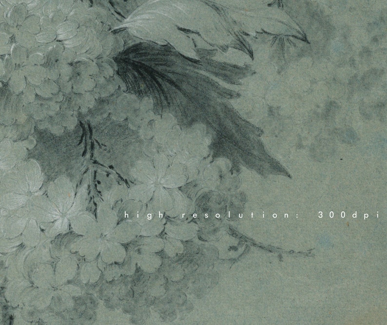 Blue Flower Print Coquette Room Decor Botanical Floral - Etsy