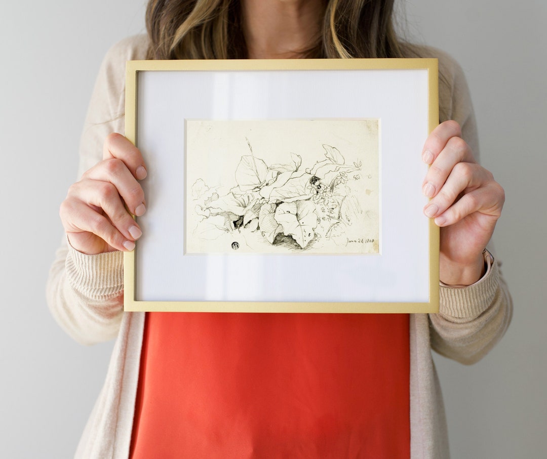 Botanical Print Coquette Room Decor Vintage Sketch Vintage Art Prints ...