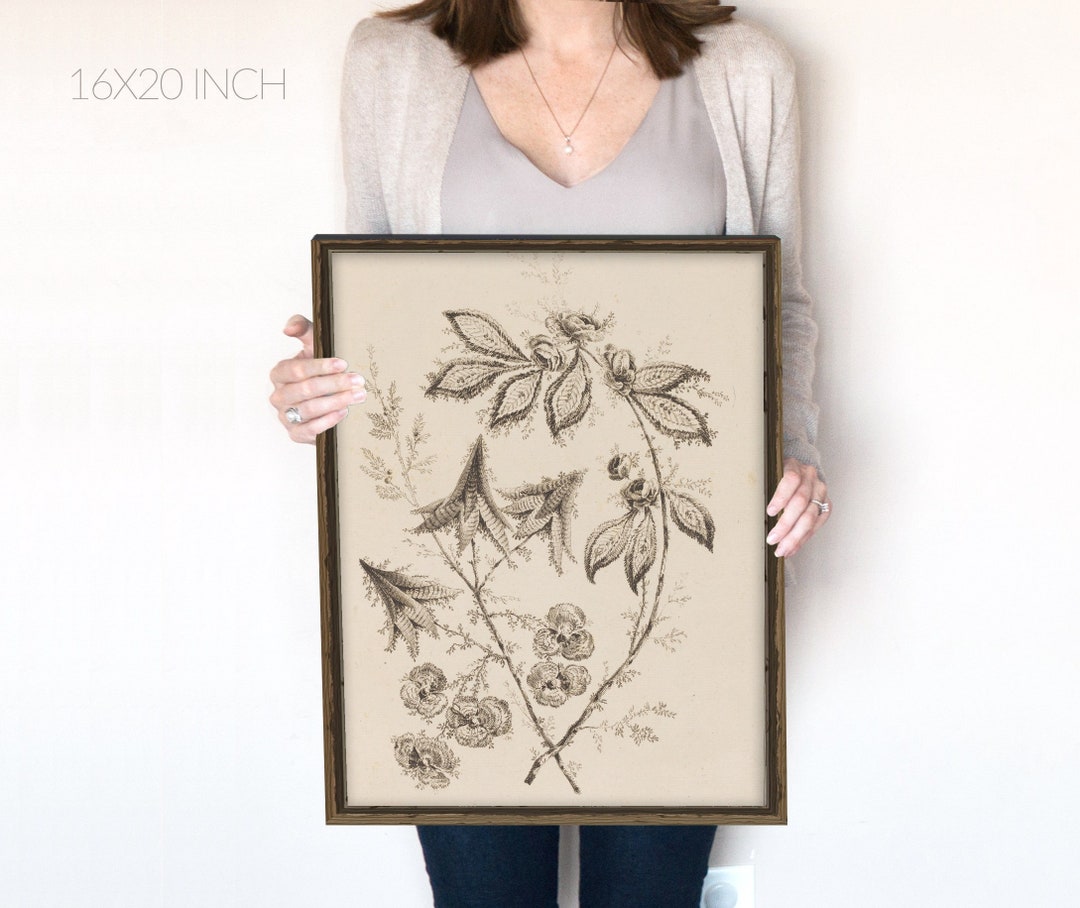 Vintage Botanical Sketch | Coquette Room Decor | Neutral Drawing Art ...