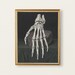 Skeleton Hand Print Halloween Decor Bones Printable Dark - Etsy
