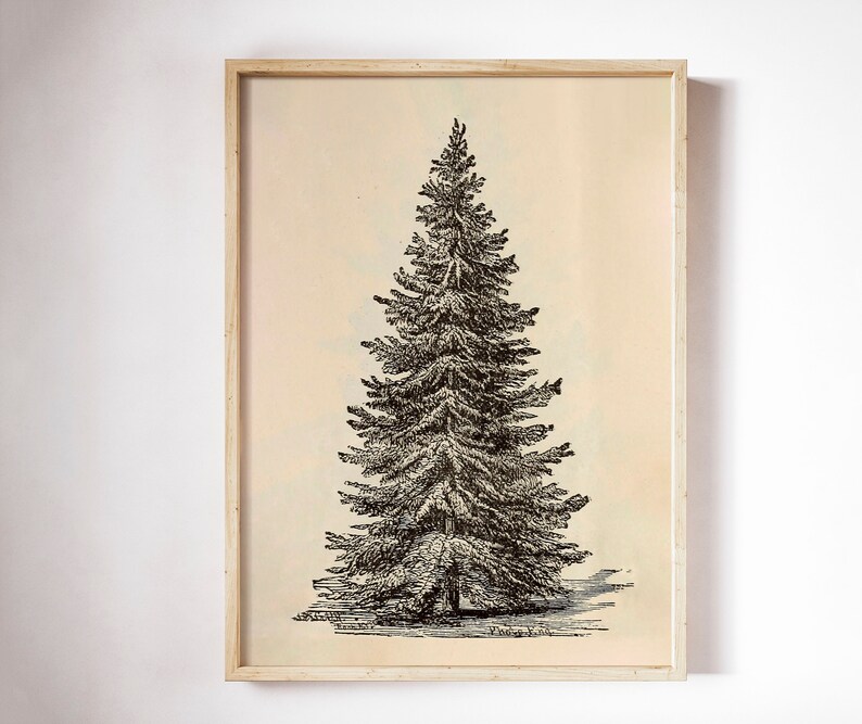 Vintage Tree Drawing Sketch Vintage Print Instant Download - Etsy
