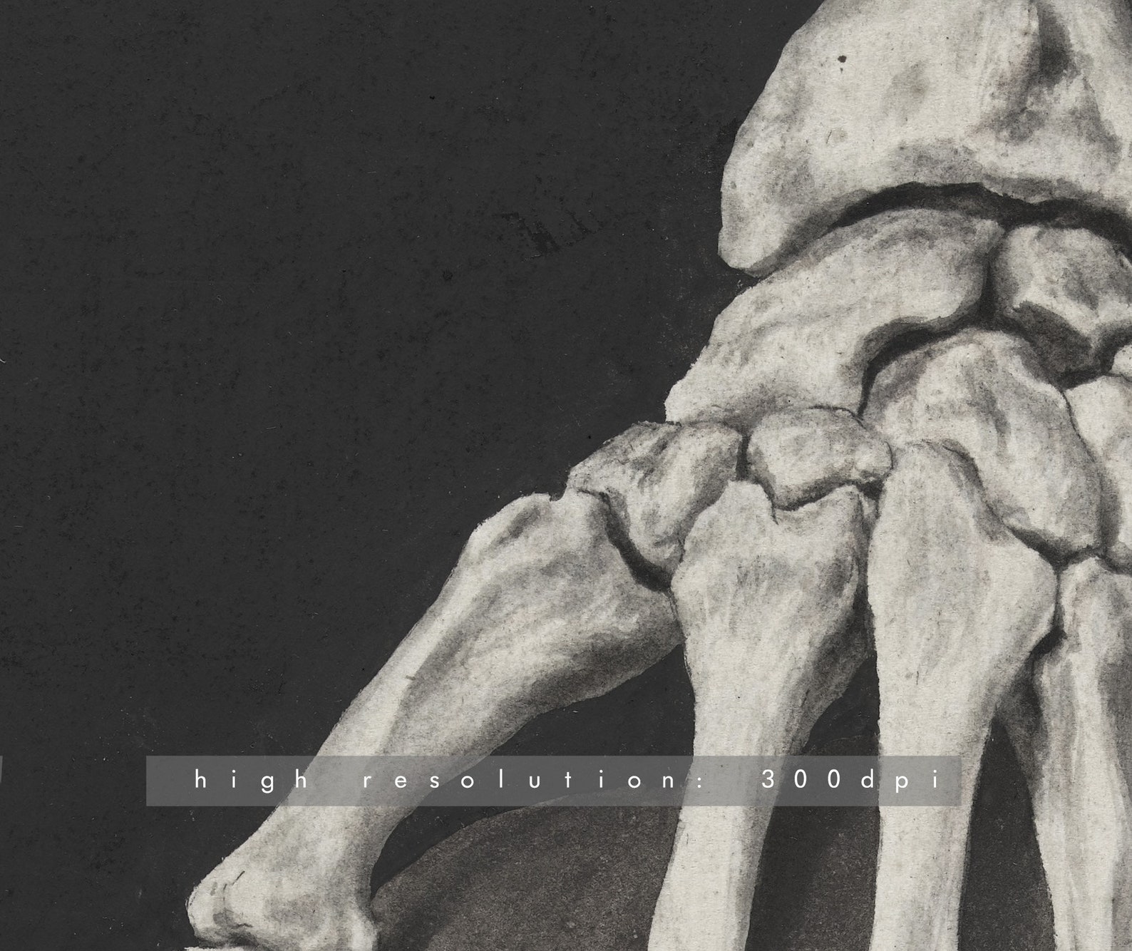 Skeleton Hand Print Halloween Decor Bones Printable Dark - Etsy