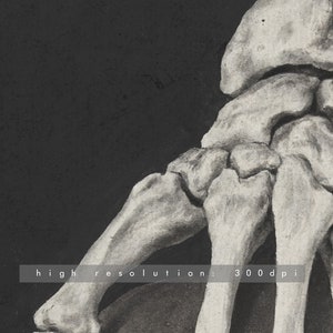 Skeleton Hand Print Halloween Decor Bones Printable Dark Wall Art ...