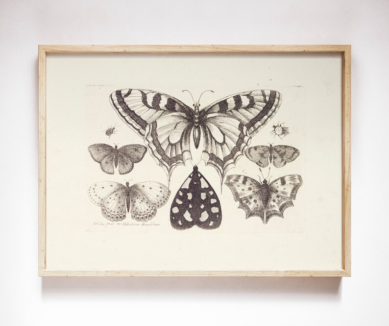 Vintage Butterfly Drawing Printable Butterflies Antique | Etsy