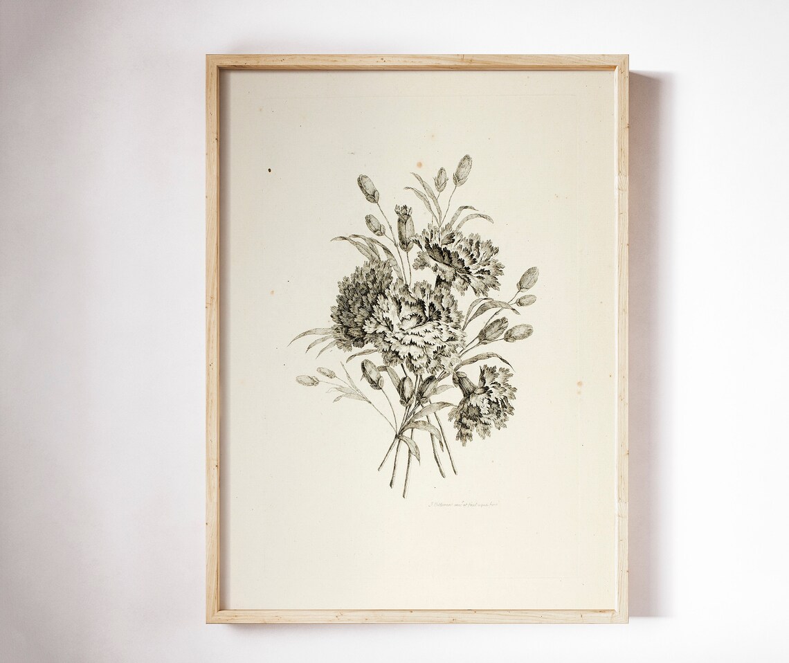 Vintage Carnation Print Botanical Print Vintage Art Prints - Etsy