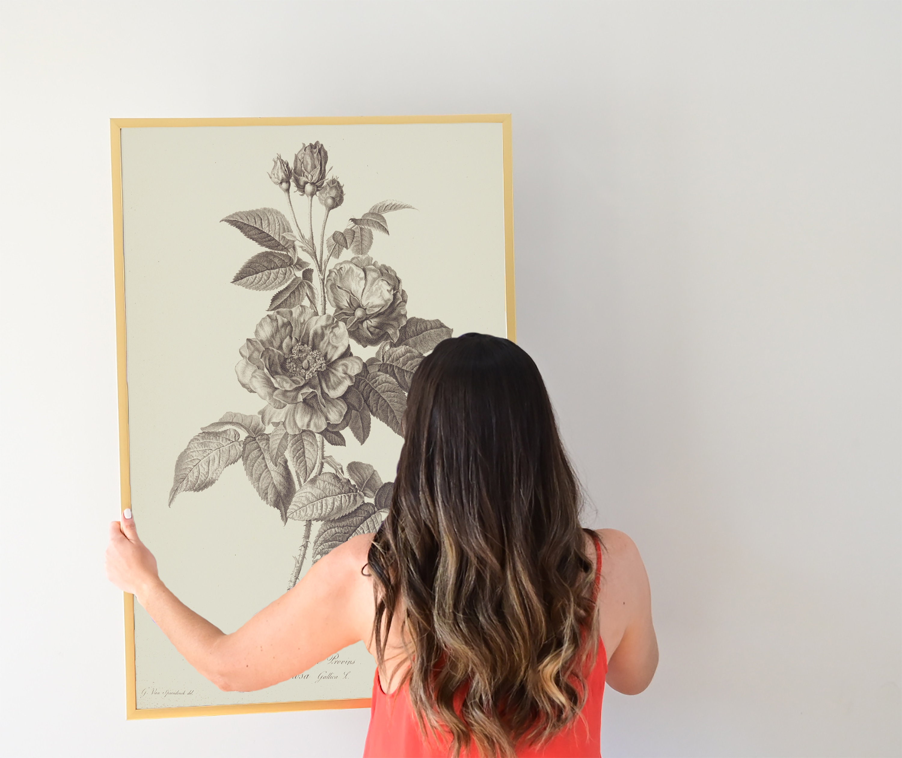 Black and White Rose Sketch, Coquette Room Decor, Vintage Botanical ...