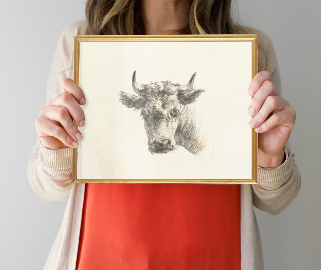 Cow Print | Bull Sketch | Highland Cow | Neutral Wall Art | Cow Drawing ...