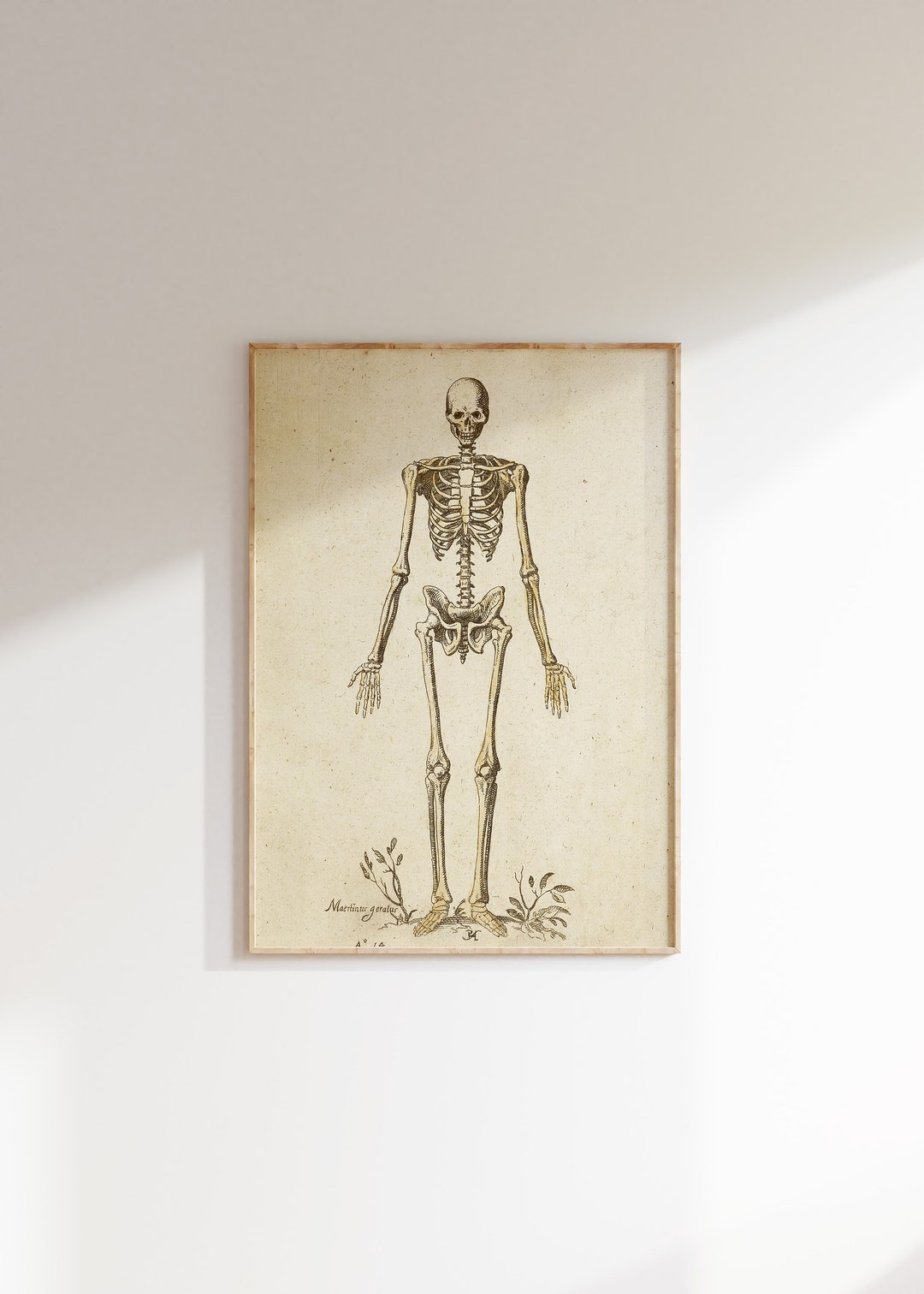 Printable Skeleton Wall Art | Halloween Printable | Skeleton Print ...