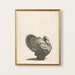 Thanksgiving Decor | Gallery Wall Set | Pumpkin Patch | Pumpkin Wall ...