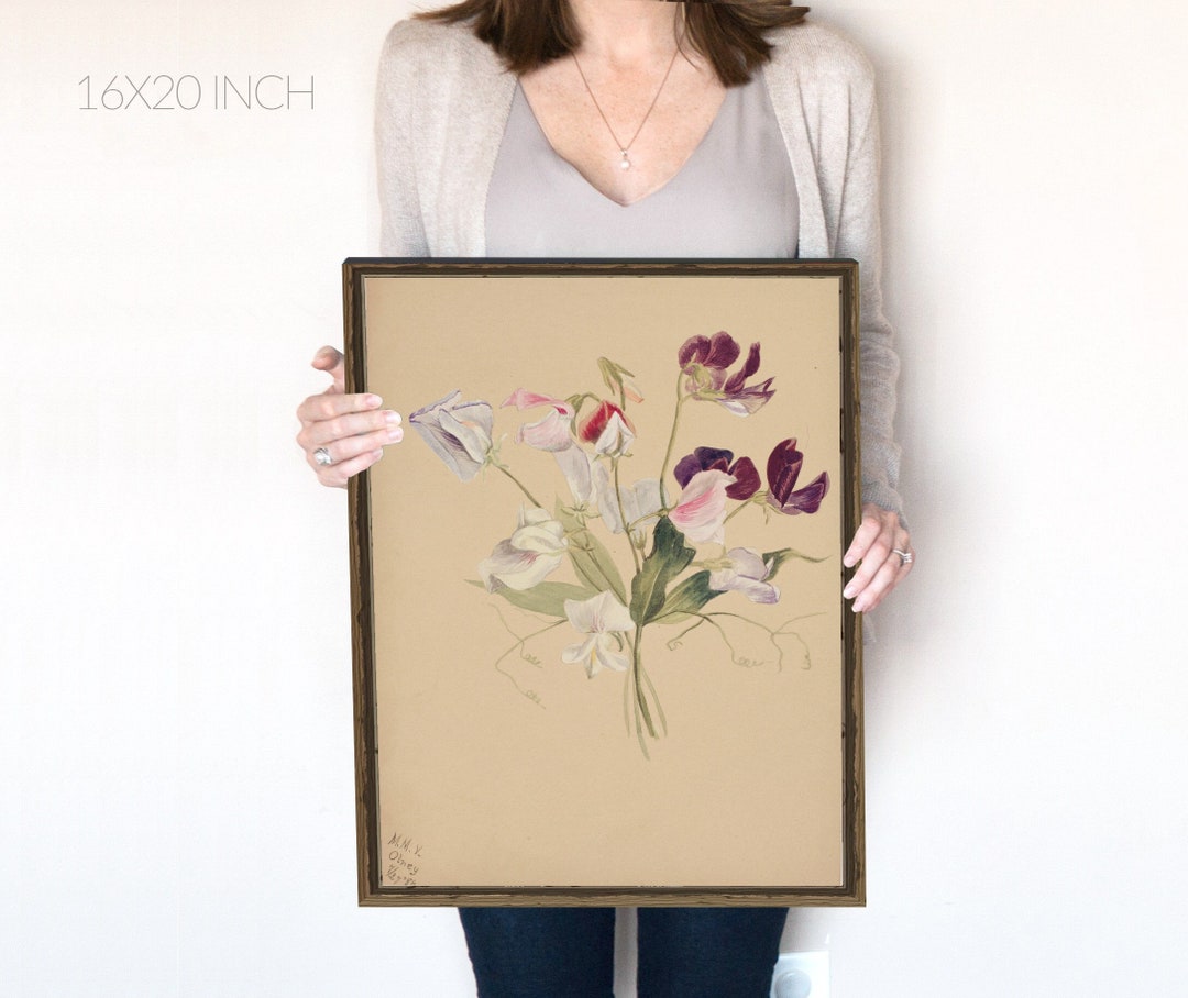 Printable Sweet Pea Print, Coquette Room Decor, Colorful Vintage Floral ...