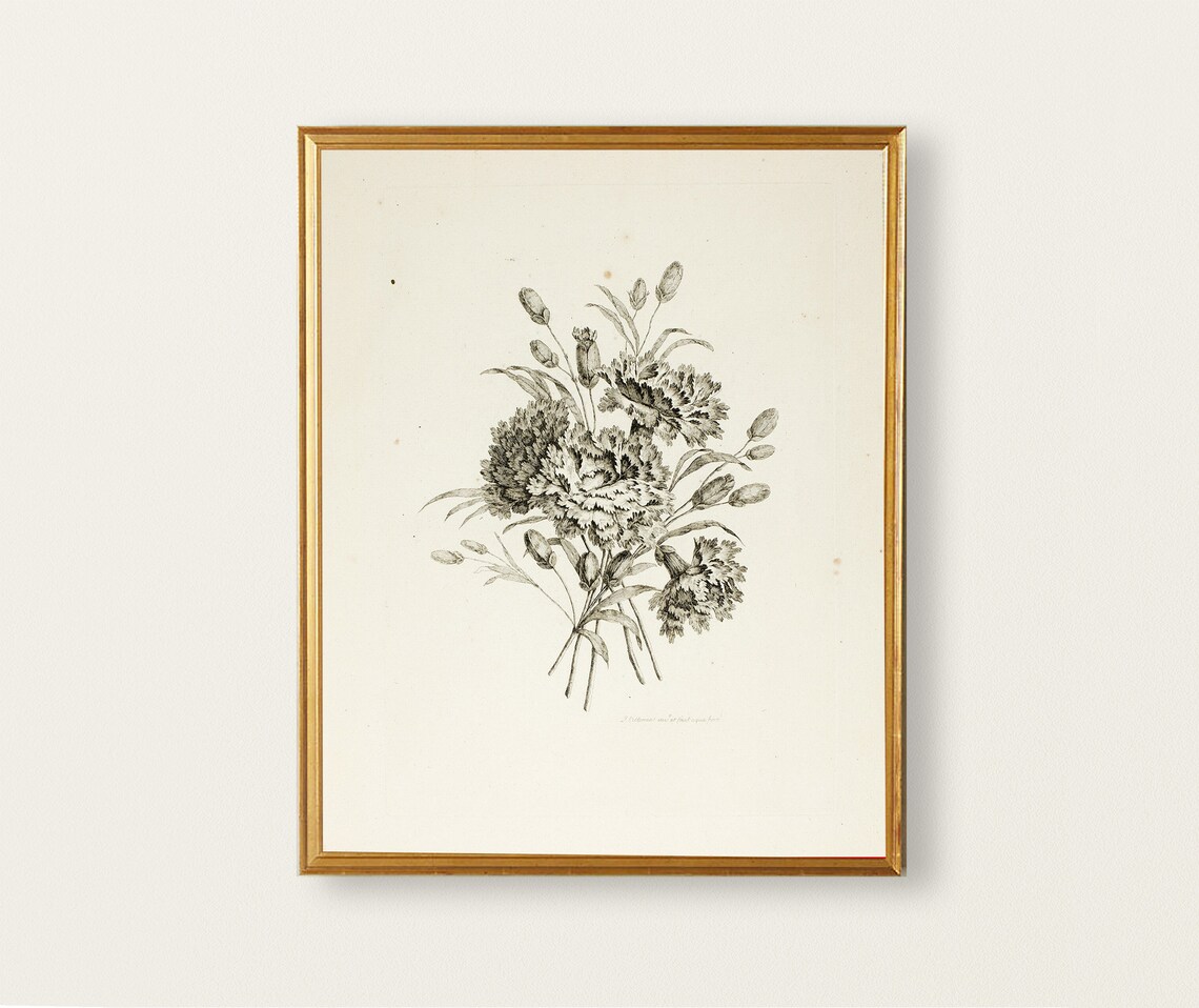 Vintage Carnation Print Botanical Print Vintage Art Prints - Etsy