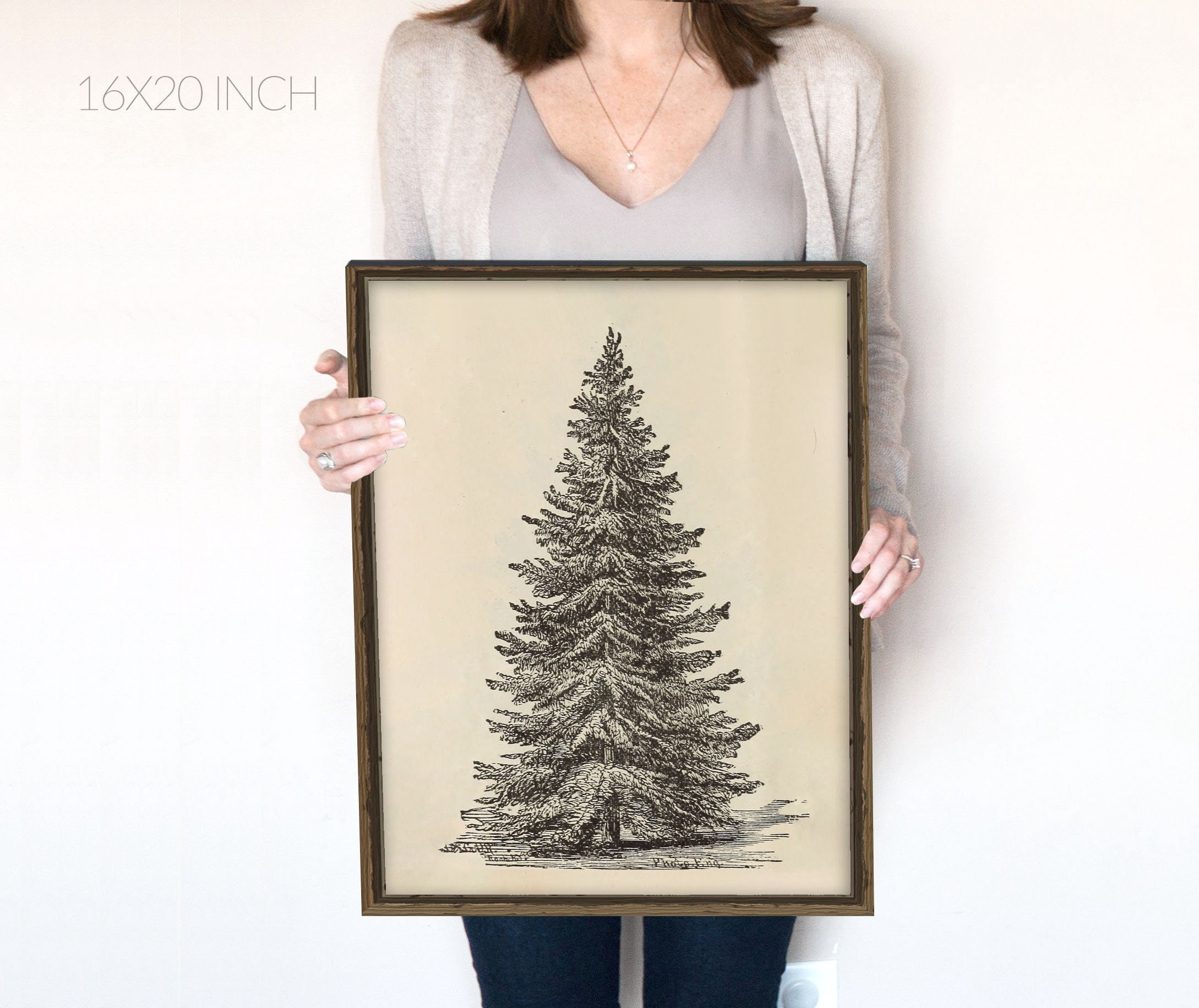Vintage Christmas Tree Sketch