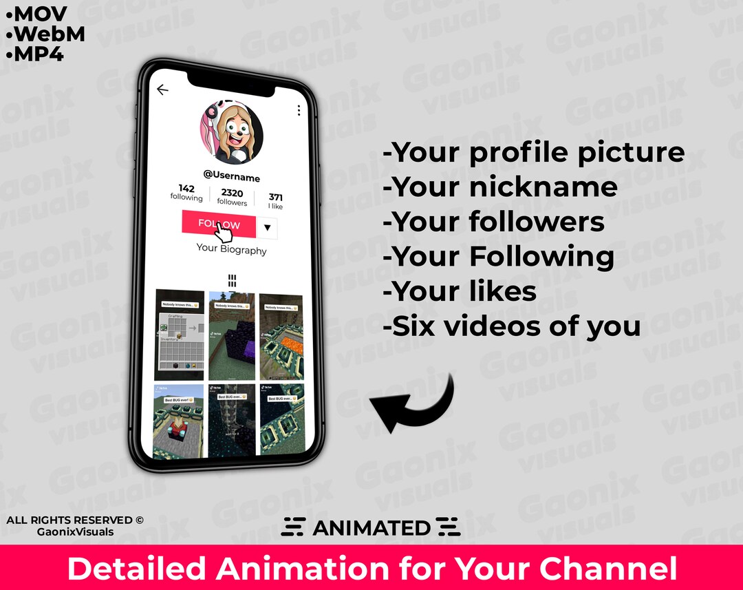Custom Animated Overlay With Integrated Special Effects to Enhance the ...