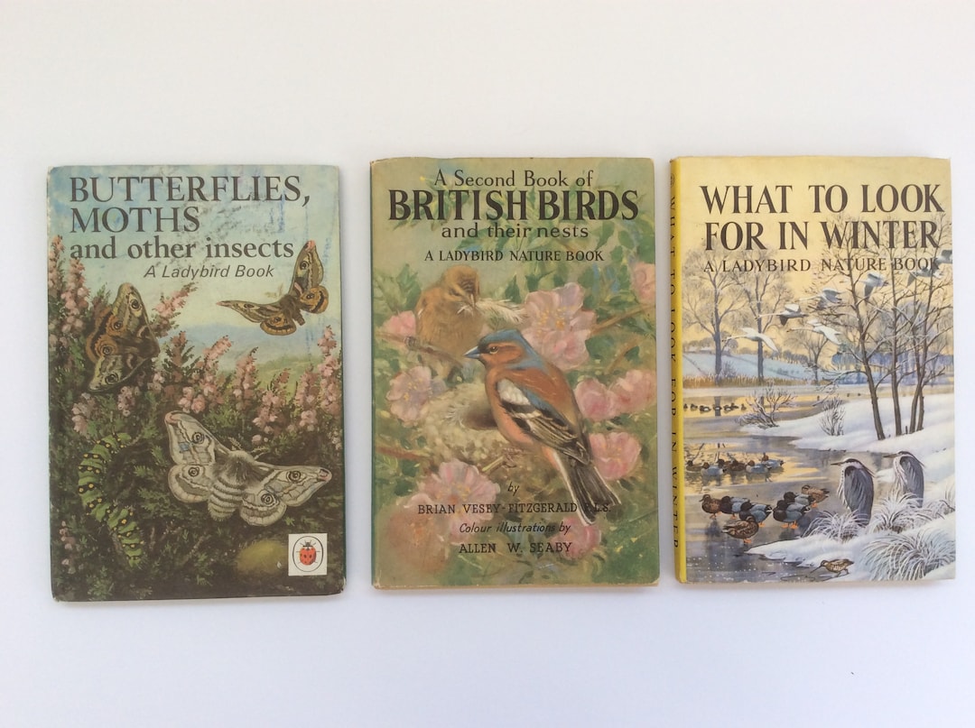Butterflies, Moths and Other Insects, A Second Book of British Birds ...