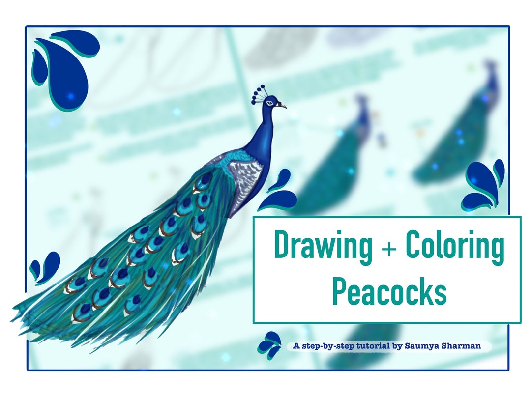 Drawing and Coloring Peacocks Tutorial - Etsy