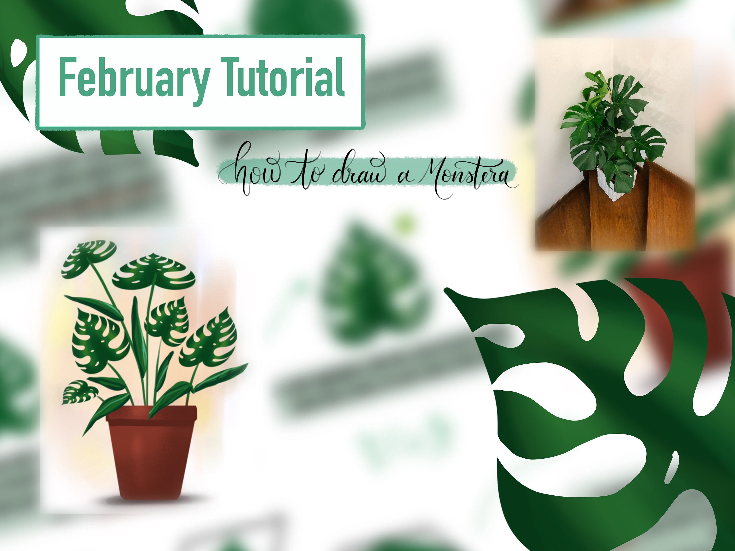 Drawing a Monstera Tutorial - Etsy