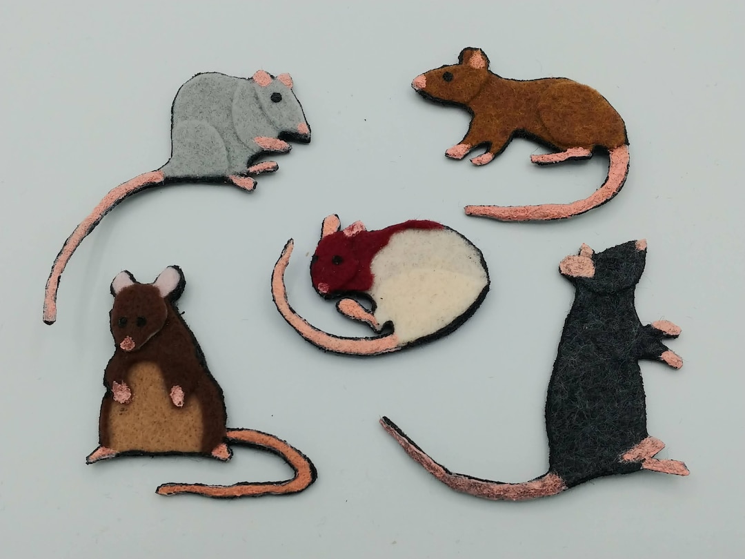 Rat Magnets - Etsy