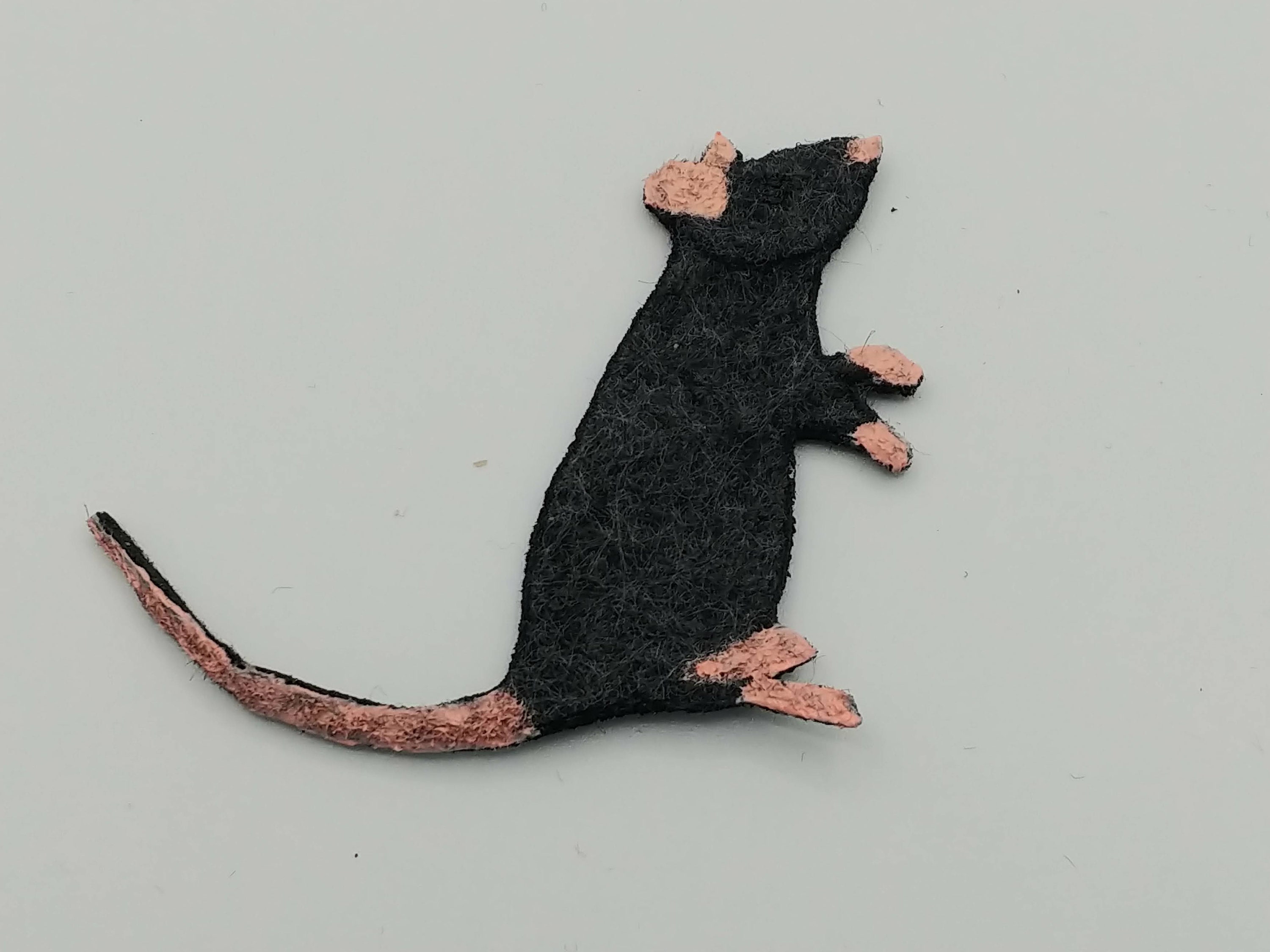Rat Magnets - Etsy