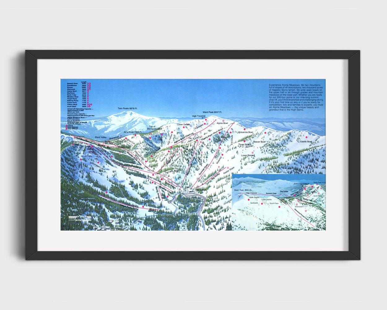1974 ALPINE MEADOWS Ski Trail Map - Ski Home Decor, Ski Lodge Wall ...