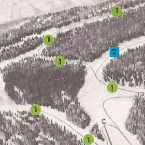 1985 WHITE PASS Ski Trail Map - Ski Home Decor, Ski Lodge Wall Decor ...
