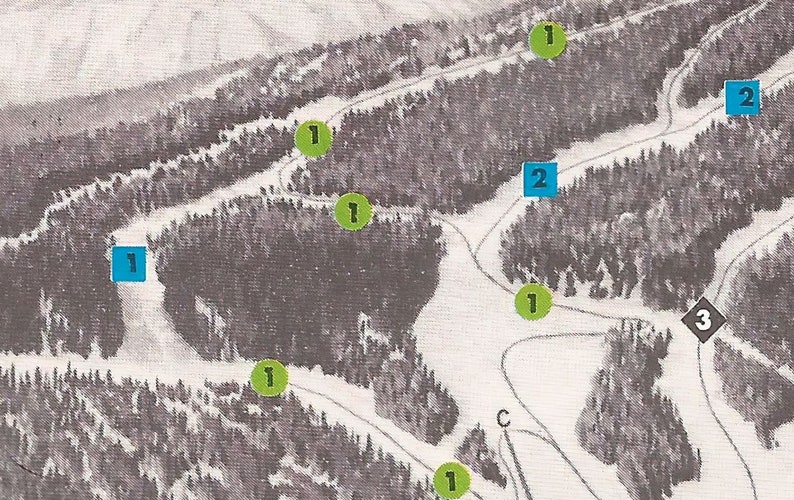 1985 WHITE PASS Ski Trail Map - Ski Home Decor, Ski Lodge Wall Decor ...