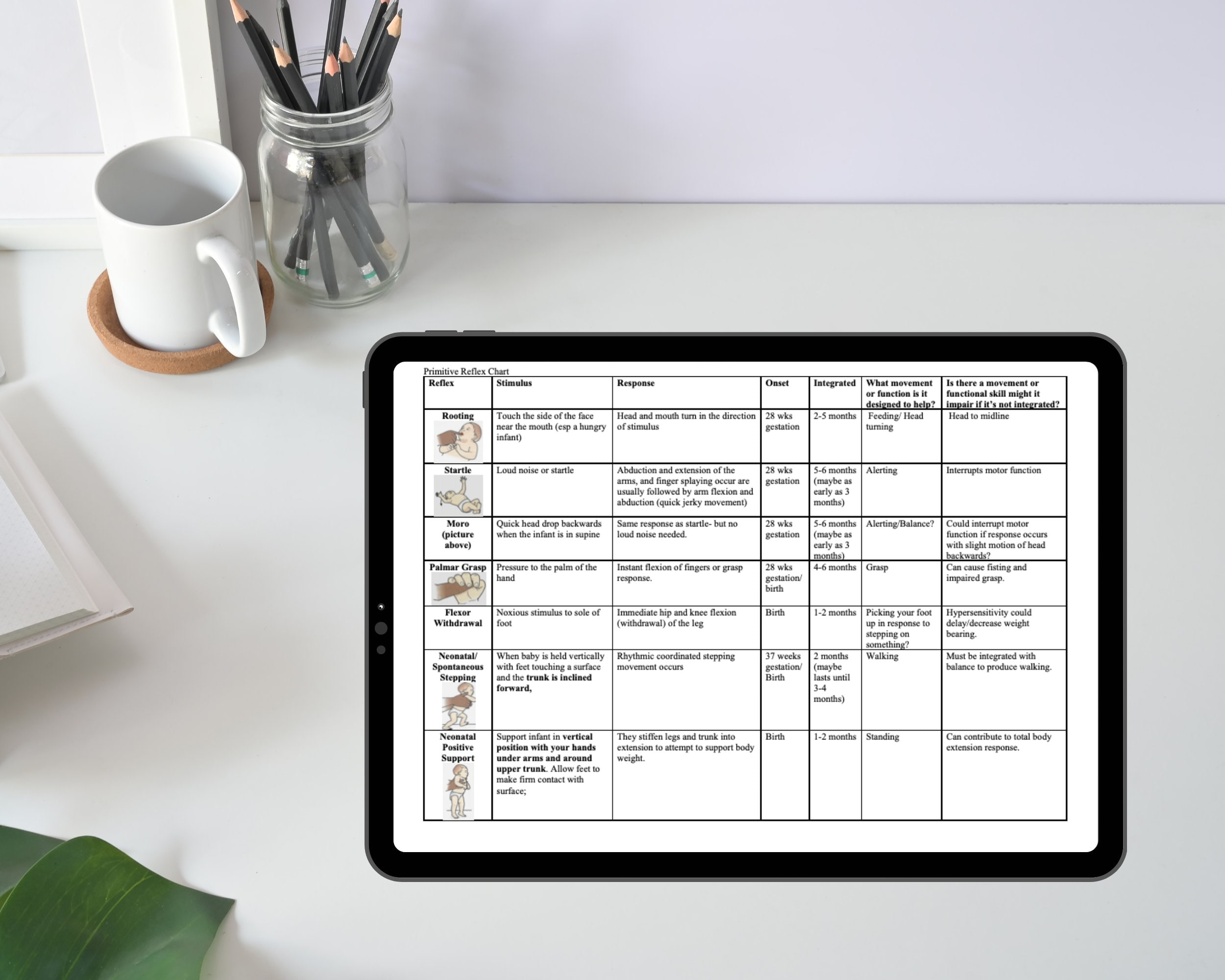 Reflexes and Reactions for Pediatric Therapists - Great for ...