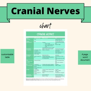 Cranial Nerves Study Guide Chart and Picture- Label, Color, Function ...