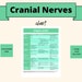 Cranial Nerves Study Guide Chart and Picture- Label, Color, Function ...