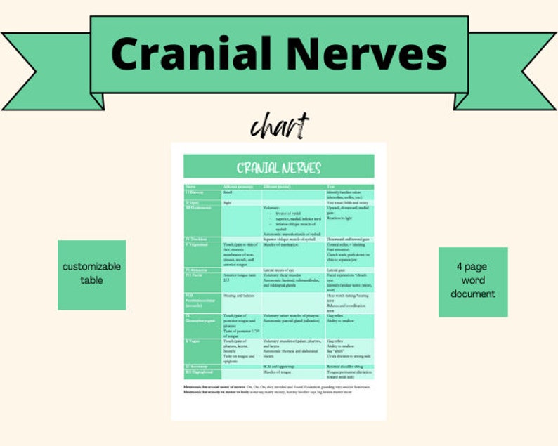 Cranial Nerves Study Guide Chart and Picture- Label, Color, Function ...