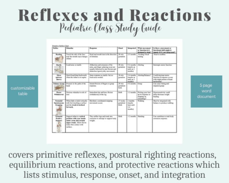 Reflexes and Reactions for Pediatric Therapists - Great for ...