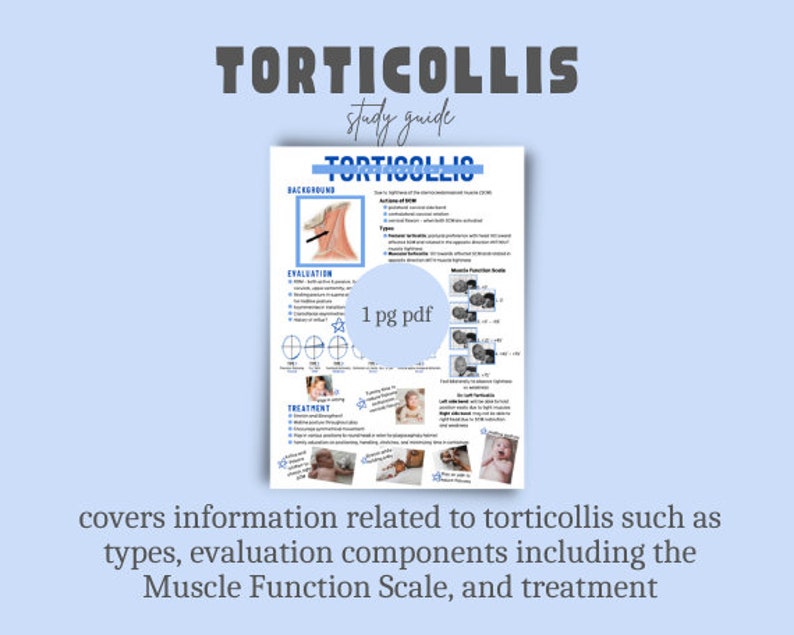 Torticollis Handout -great for Physical Therapy Students & Therapists ...
