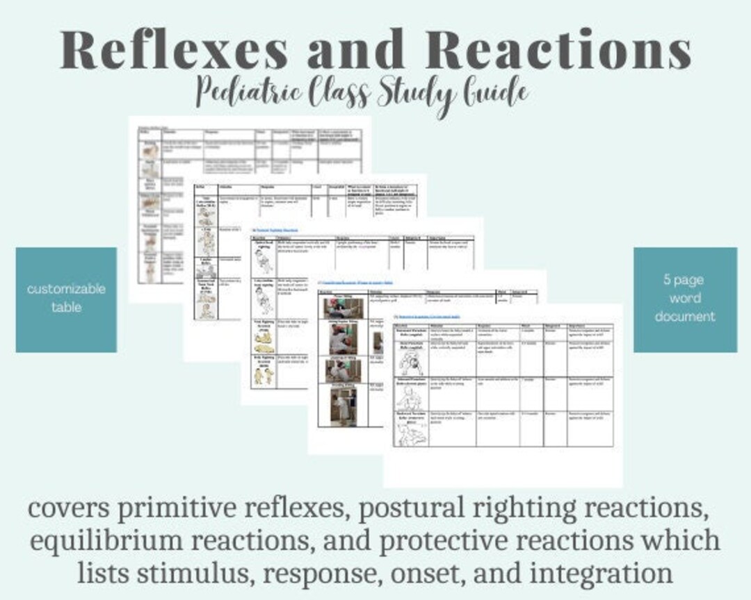 Reflexes and Reactions for Pediatric Therapists - Great for ...