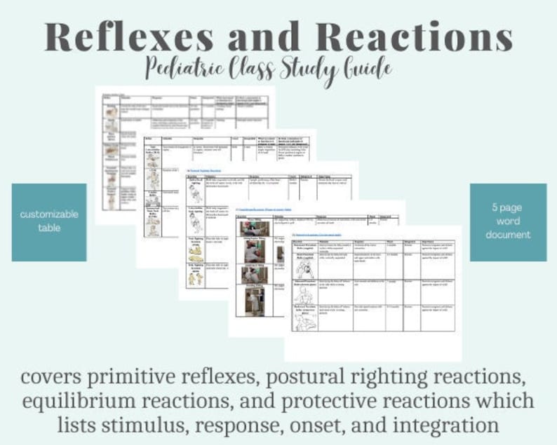 Reflexes and Reactions for Pediatric Therapists - Great for Occupational Therapy and Physical ...