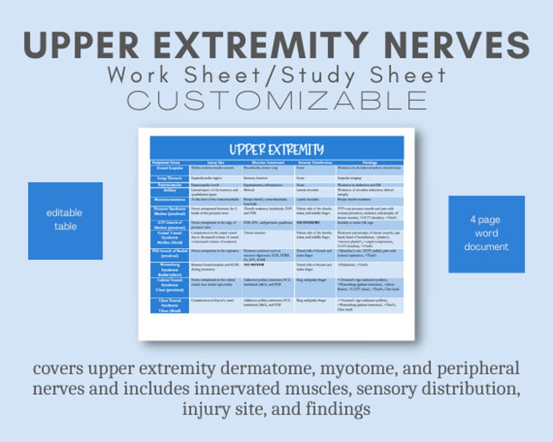 NPTE - Upper Extremity Nerves Study Guide on Dermatome, Myotome ...