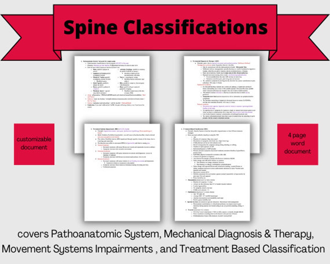 Spine Classification Systems for Physical Therapists / Study Guide ...