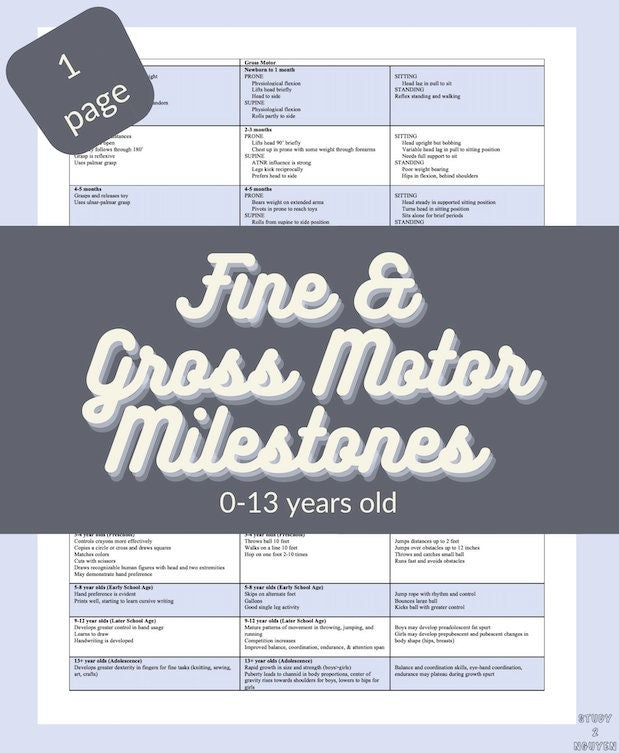 Fine and Gross Motor Milestones for Ages 0-13 Years - Great for ...