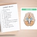 Cranial Nerves Study Guide Chart and Picture- Label, Color, Function ...