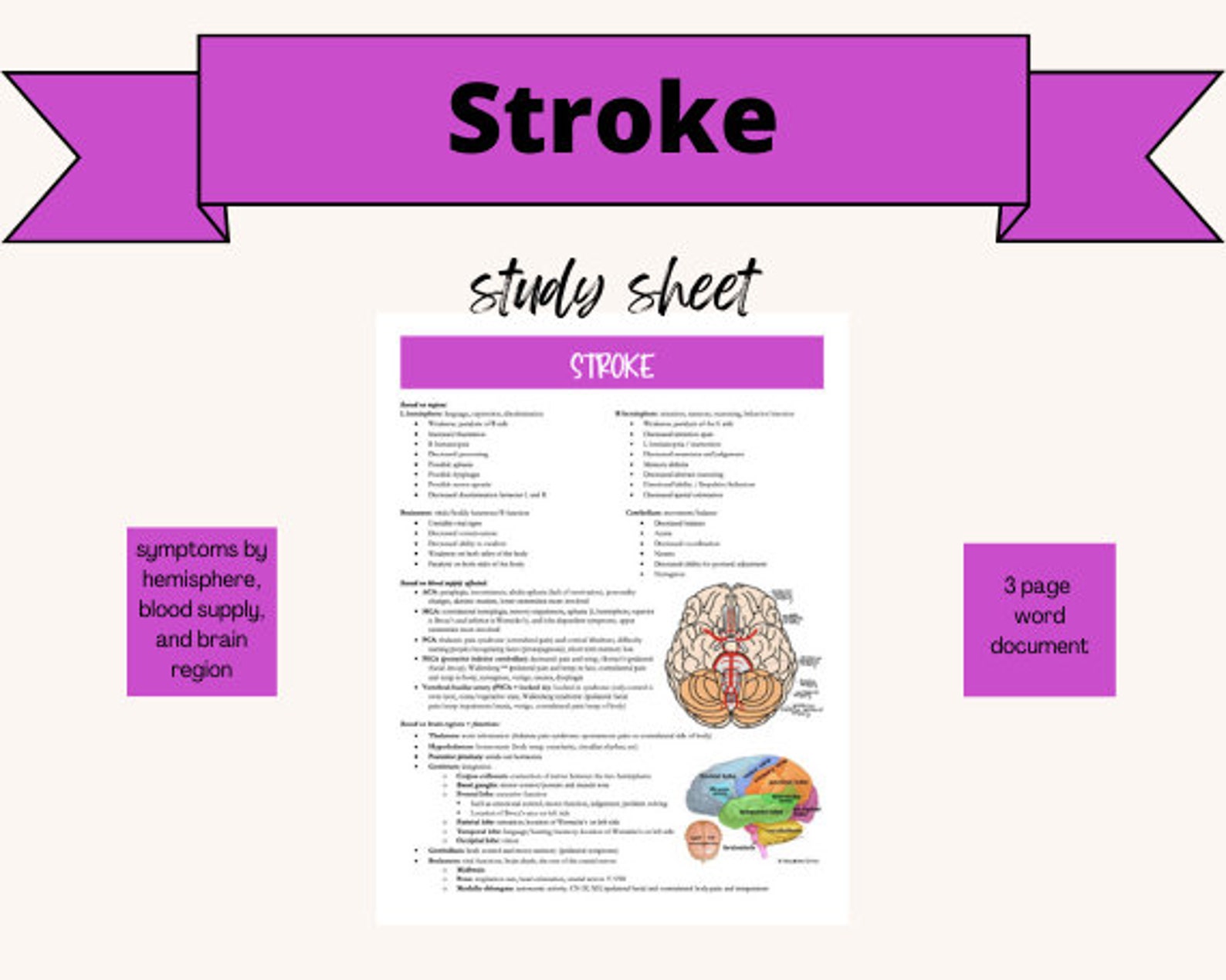 Stroke Presentation / Symptoms Based on Location in Brain, Blood Supply ...