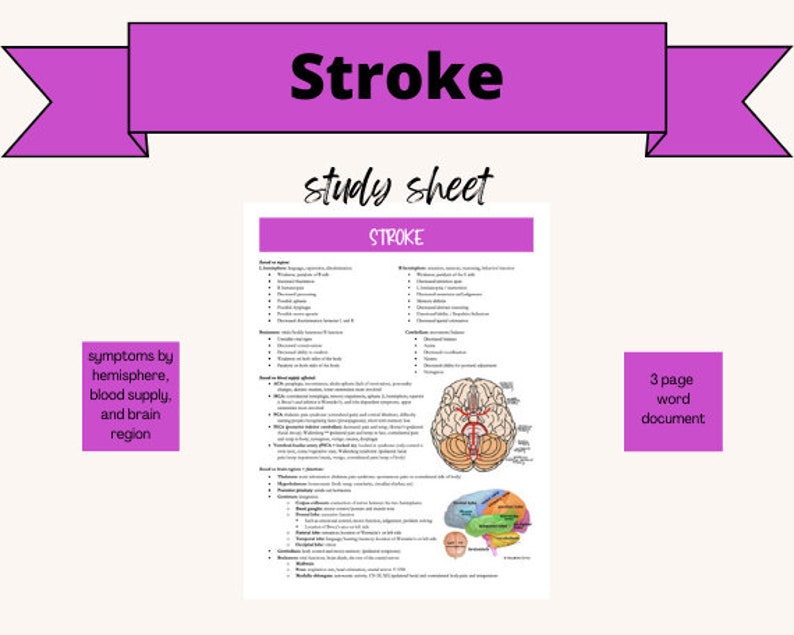 Stroke Presentation / Symptoms Based on Location in Brain, Blood Supply ...
