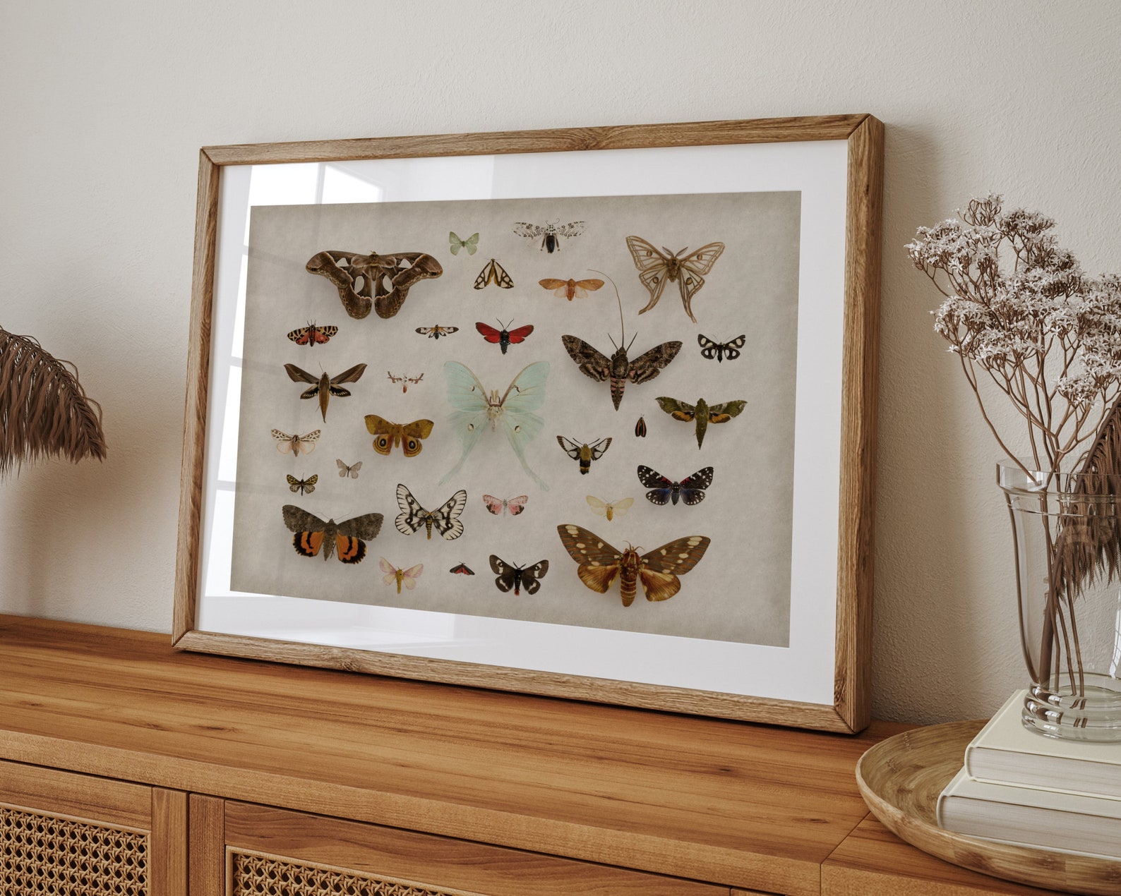 Moth Study Light Academia Art Print Digital Printable - Etsy