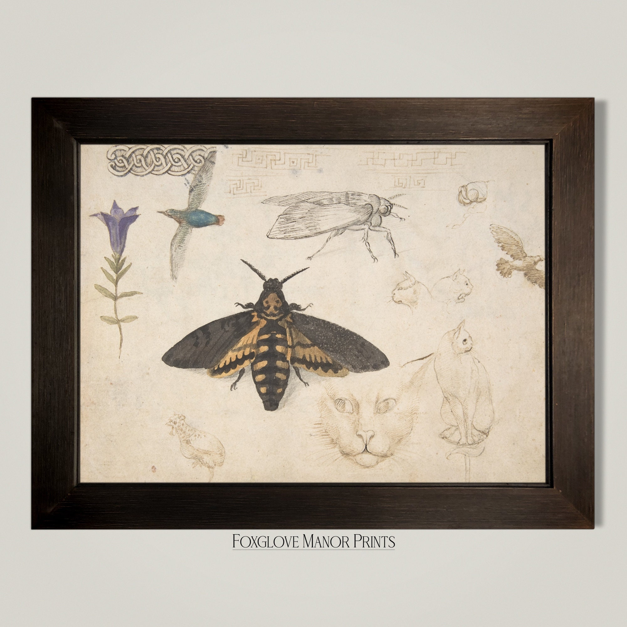 Death Head Moth Print Digital Printable Download Dark - Etsy