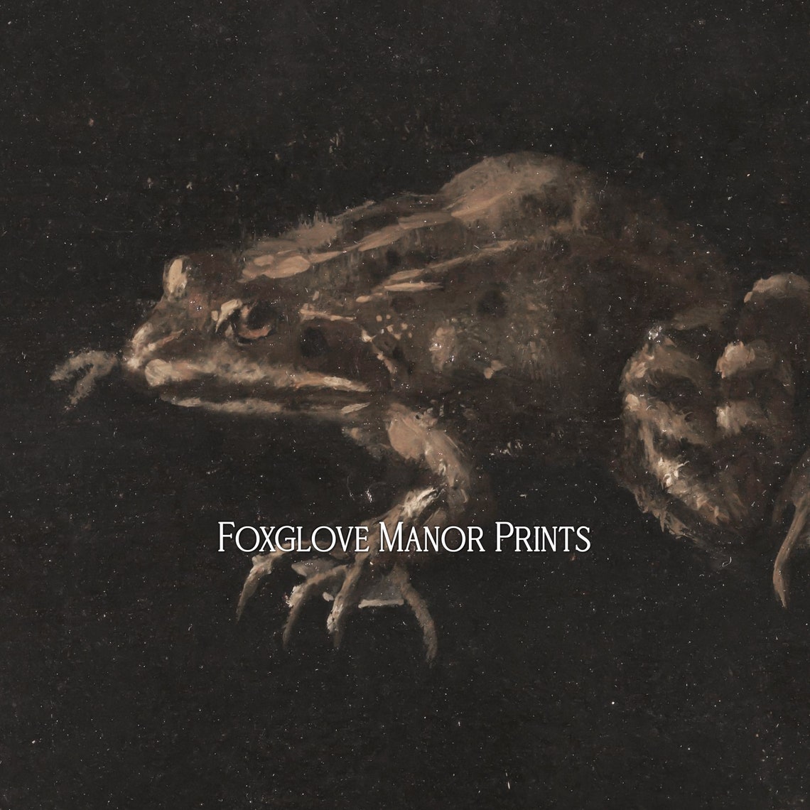 Vintage Toad Dark Cottagecore Print, Witchy Wall Art, Printable Dark ...