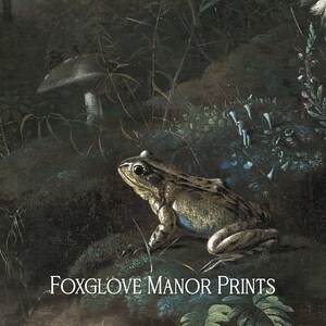 Thistle & Toad Dark Cottagecore Wall Art, Moody Forest Floor Landscape ...