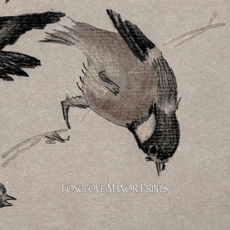 Vintage Cottagecore Bird Sketch Digital Printable Download - Etsy