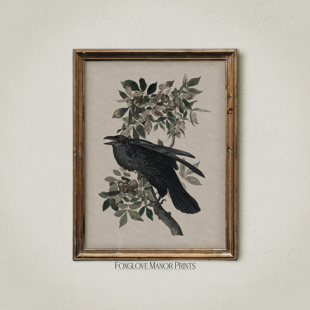Raven Art, Witchy Wall Art, Digital Printable Download, Dark Academia ...