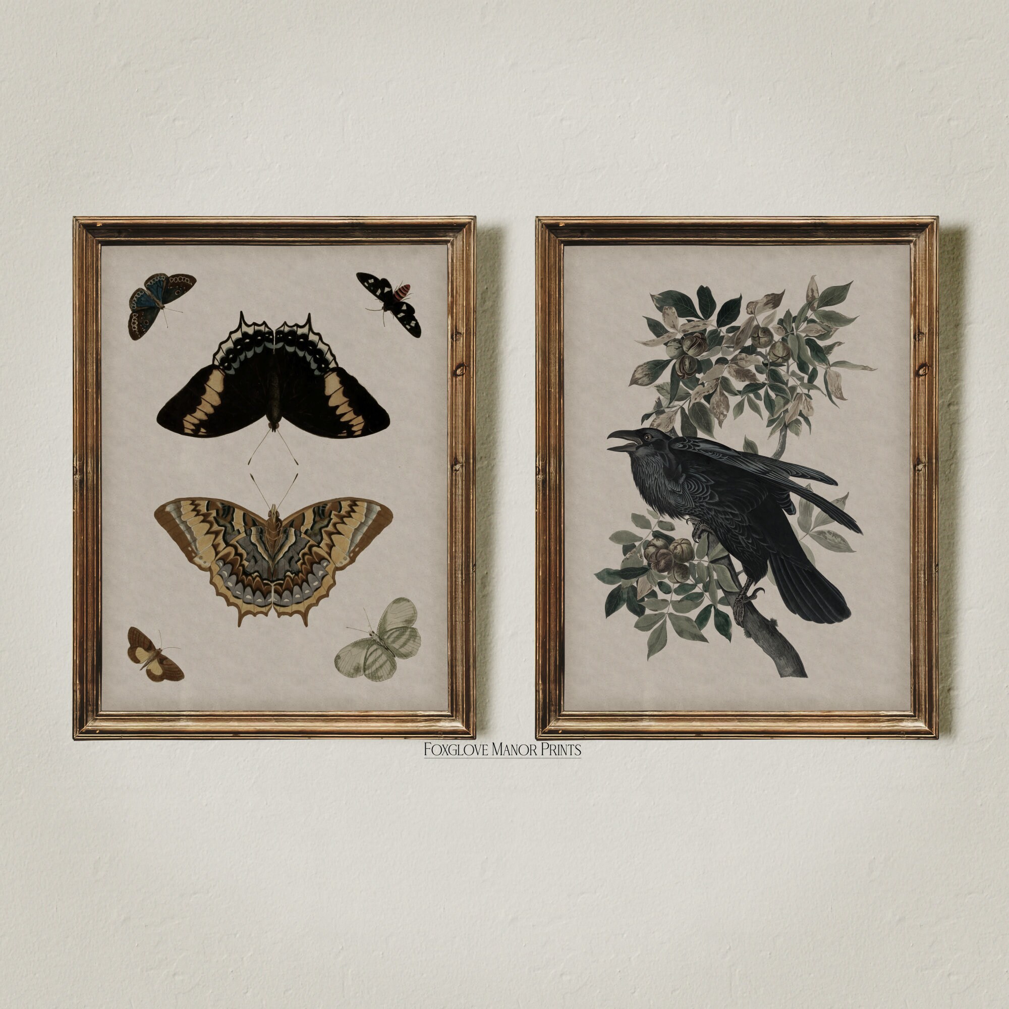 Set of 8 Dark Cottagecore Art Print Gallery Dark Academia - Etsy Canada