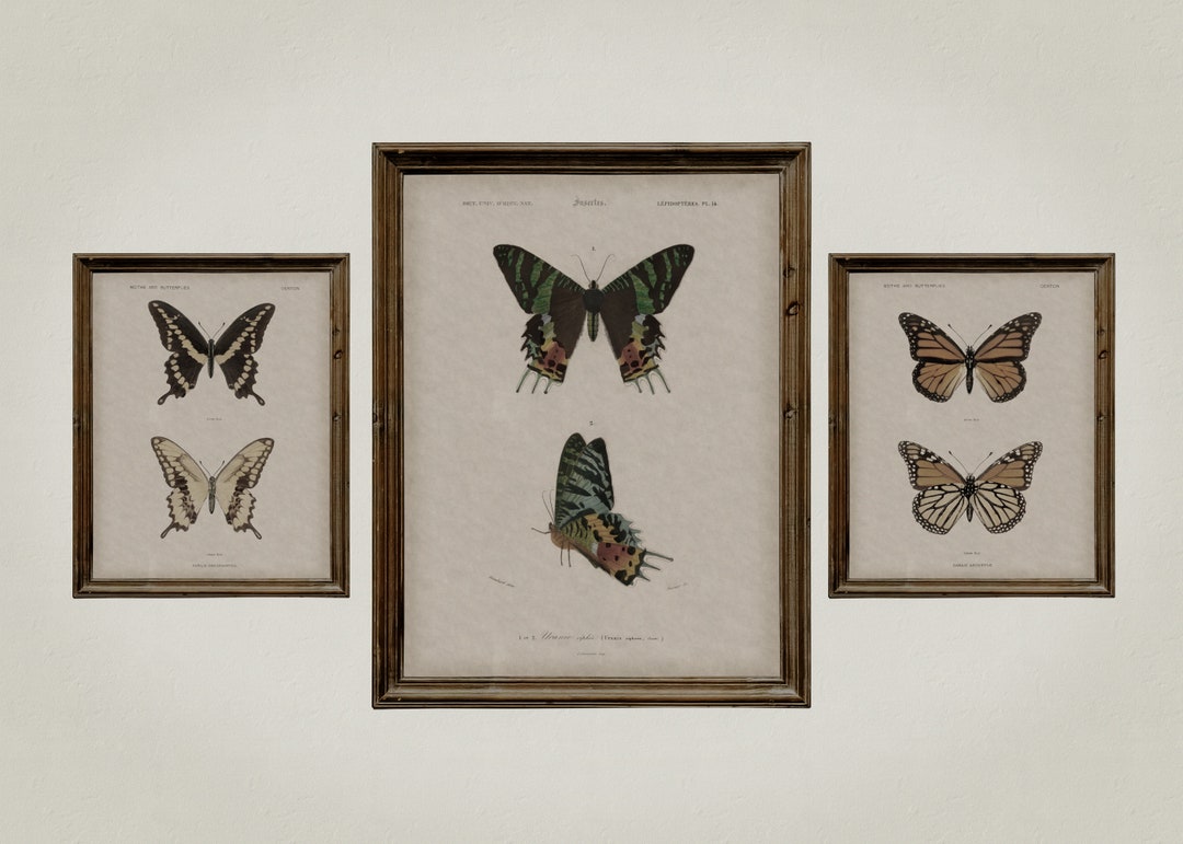 Cottagecore Butterfly Gallery Wall Art Set of 3 Vintage Light - Etsy