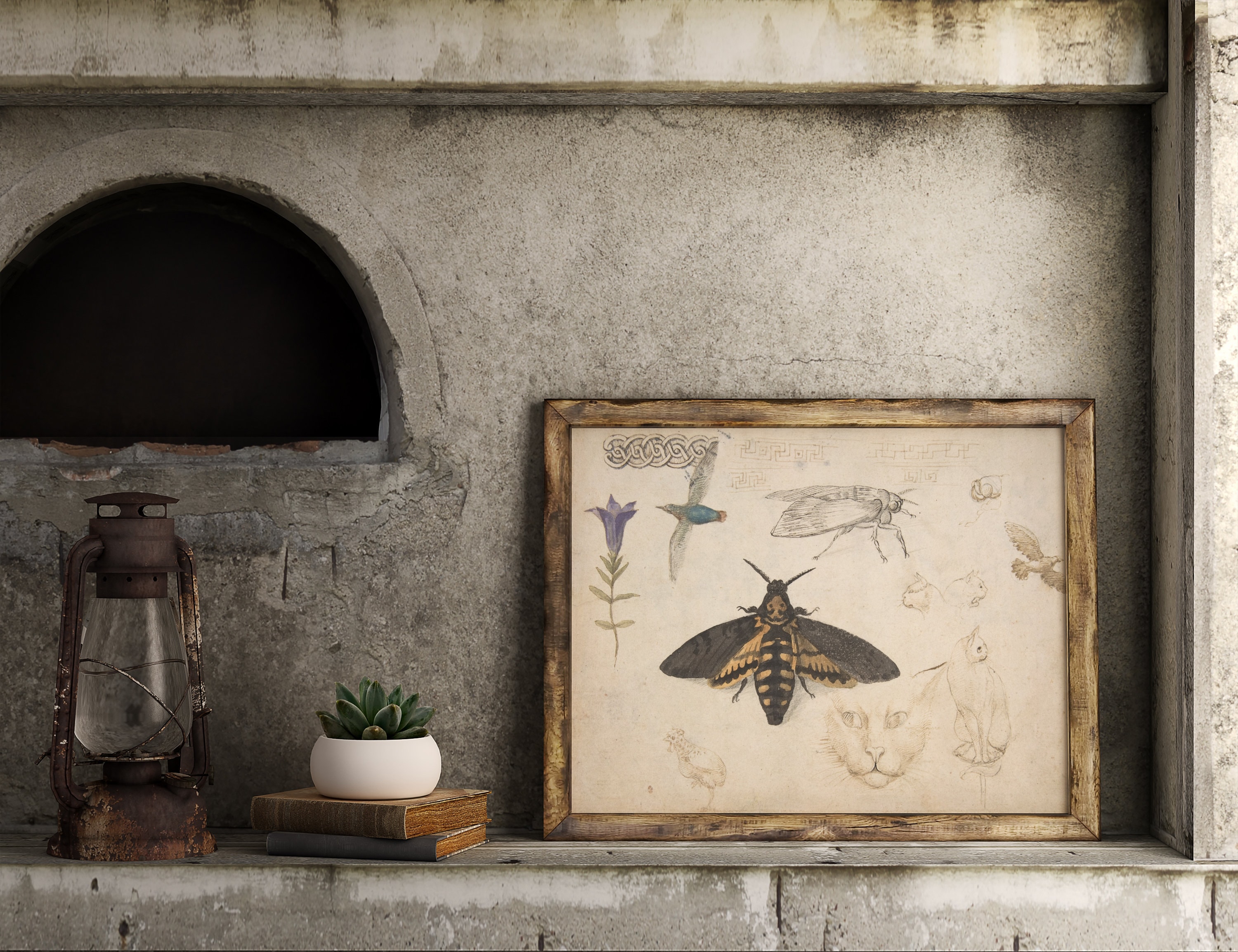 Death Head Moth Print Digital Printable Download Dark - Etsy